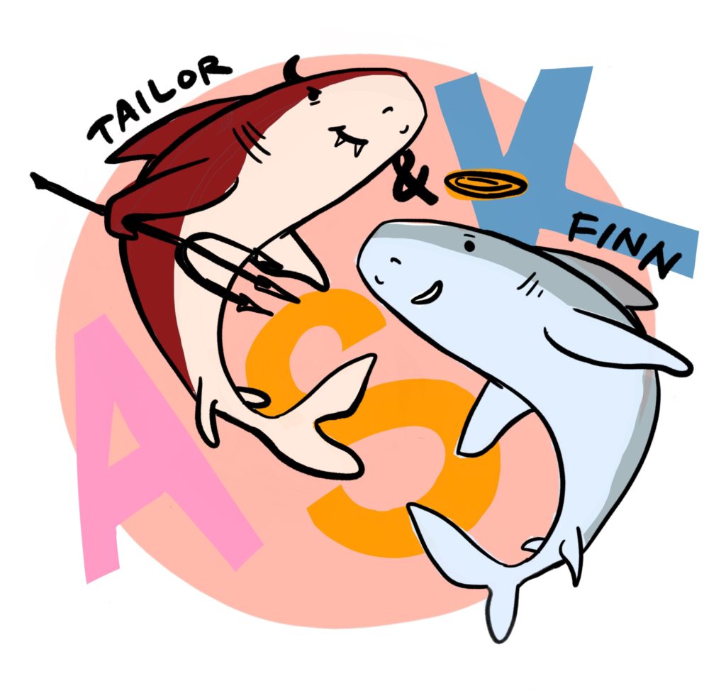 Finn and Tailor – Shark Scholar